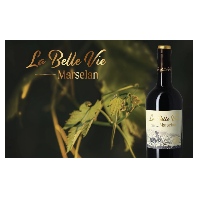 igp pays d'oc rouge marselan la belle vie